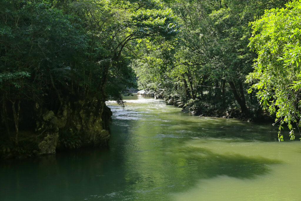Rio Claro | Colombianísima Agencia de Viajes